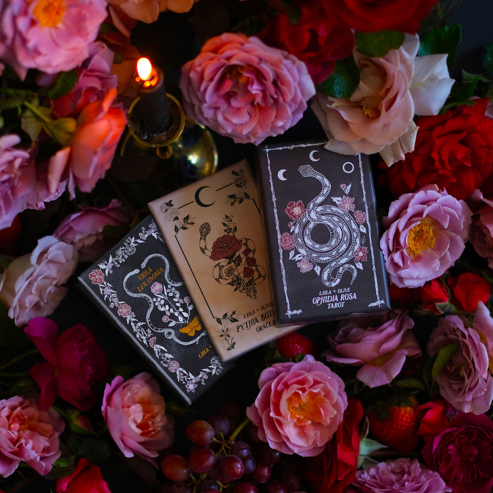 Botanical Tarot and Botanical Oracle card decks, illustrated and ...